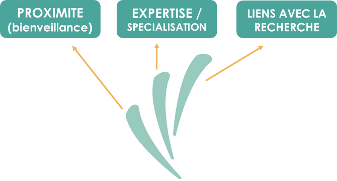 Apprenez-en plus sur ASDIA et son histoire